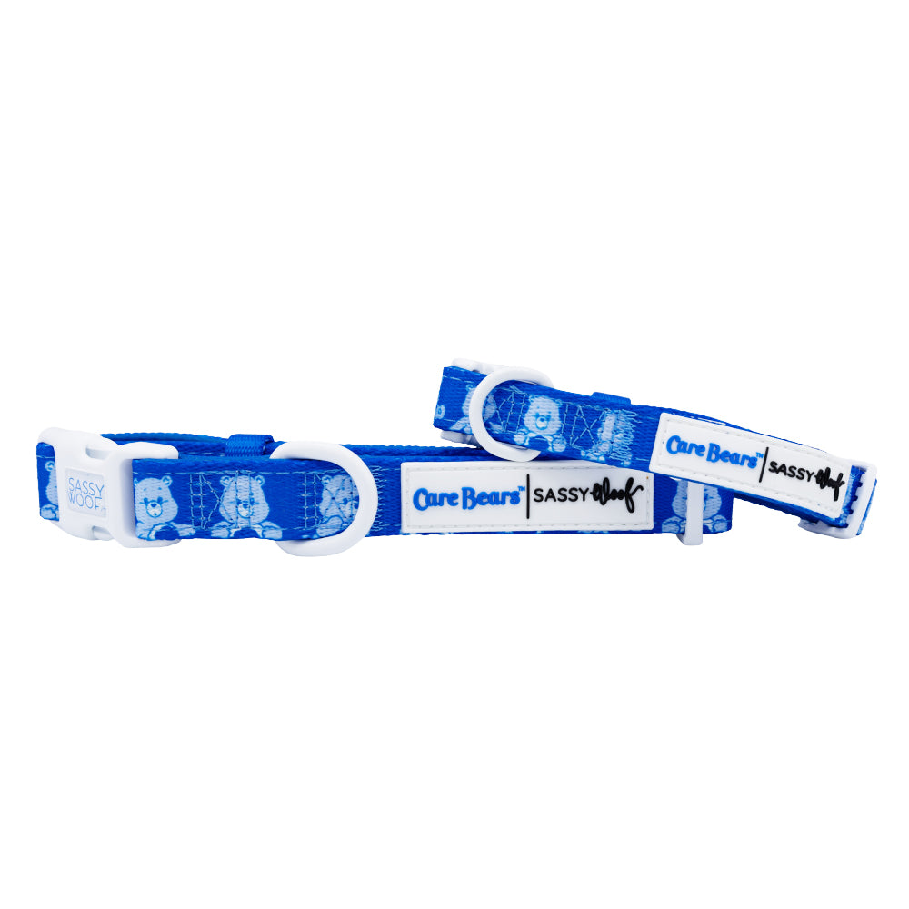 Dog Collar - Care Bears™ Grumpy Bear | Sassy Woof Product