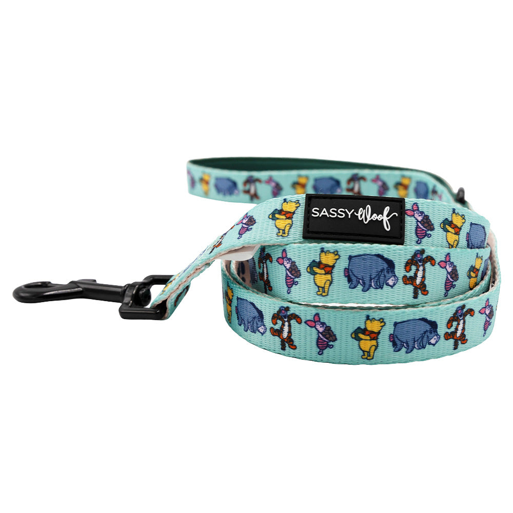Dog Leash - Disney's Winnie the Pooh | Sassy Woof Product