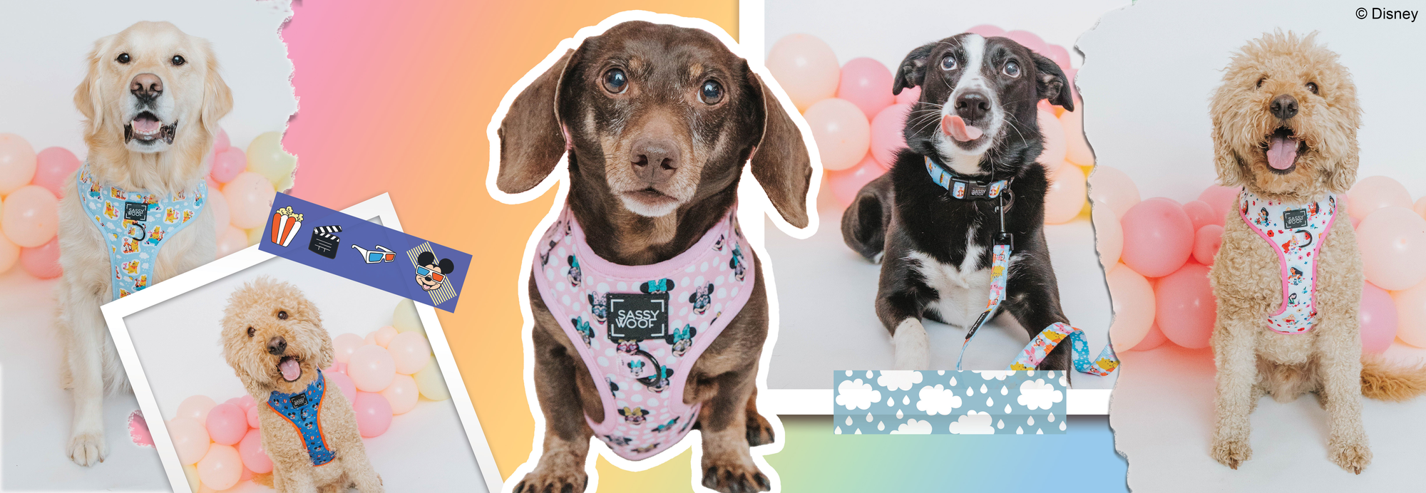 Disney PetSmart Collections | Sassy Woof
