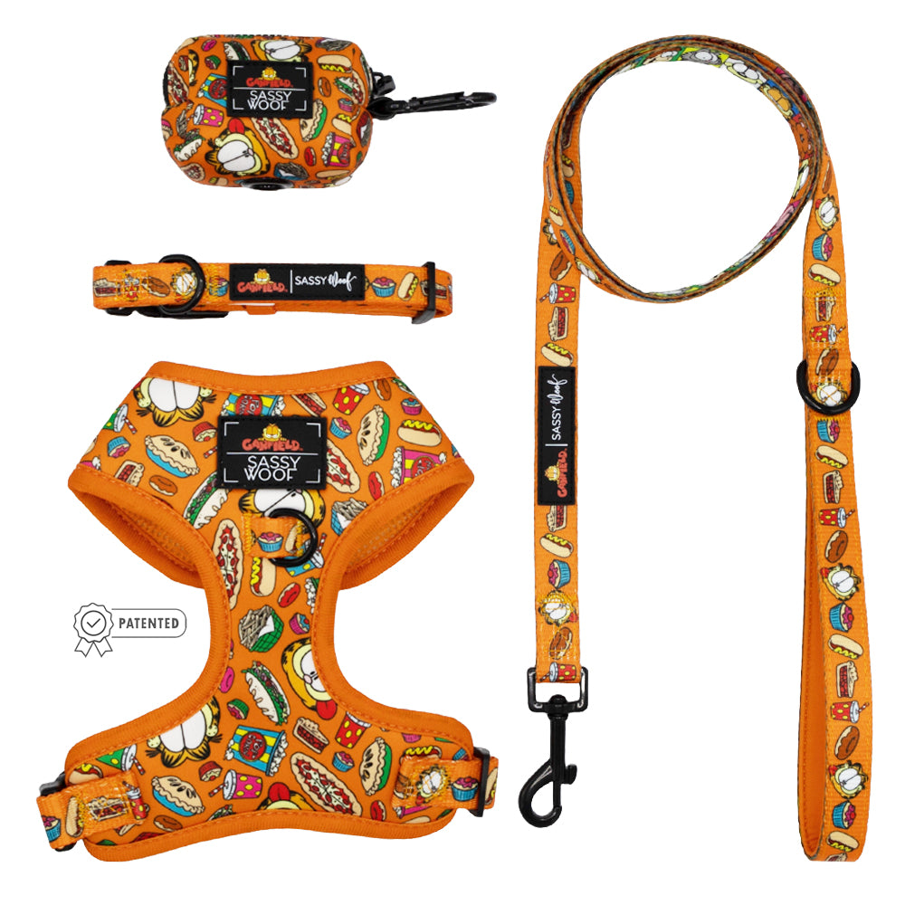 Garfield™ - Dog Four Piece Bundle | Sassy Woof Product