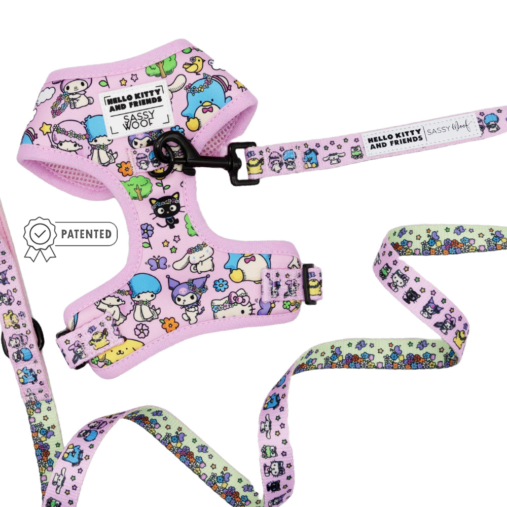 Dog Two Piece Bundle - Hello Kitty® & Friends Flower Festival | Sassy Woof Product