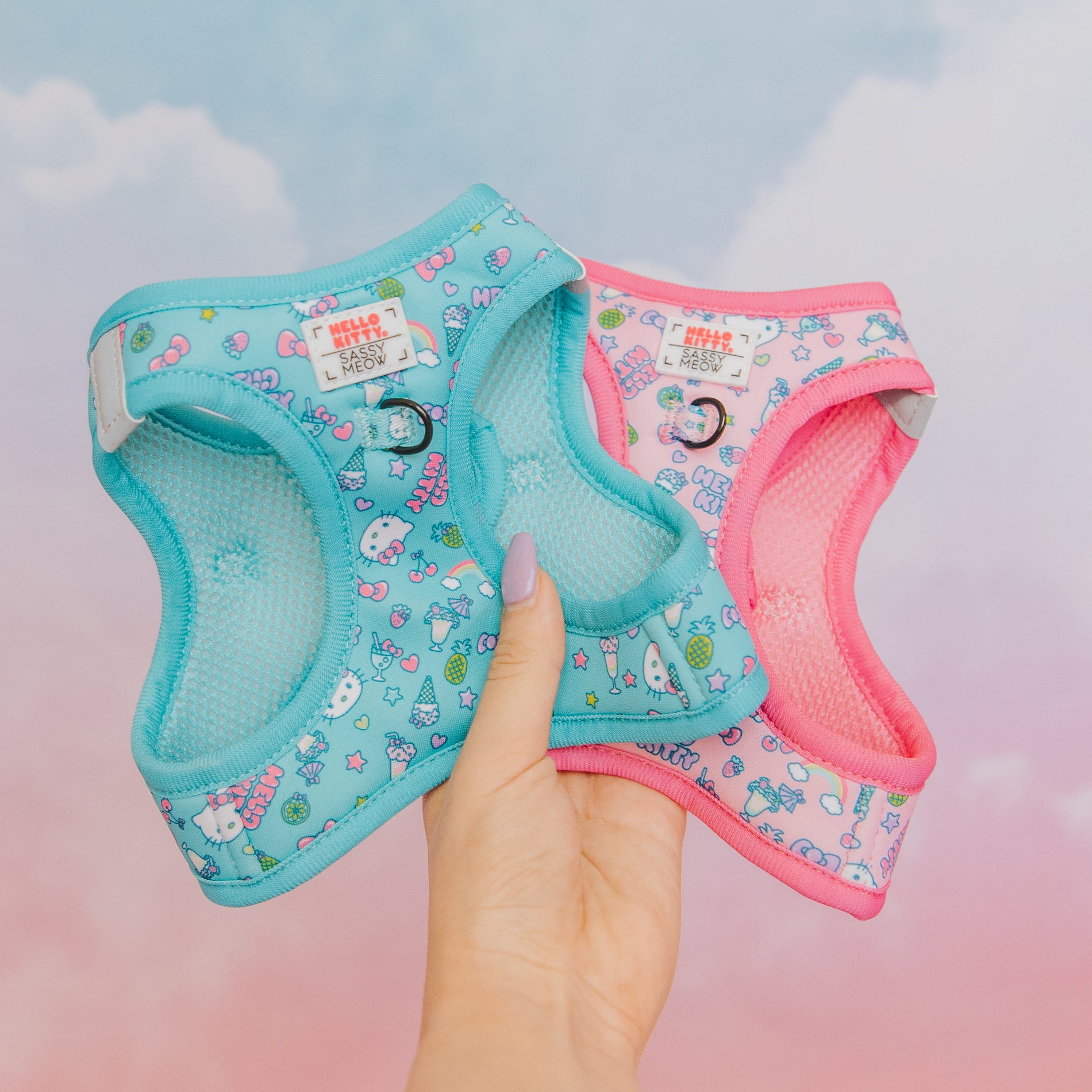 Hello Kitty | Sassy Woof