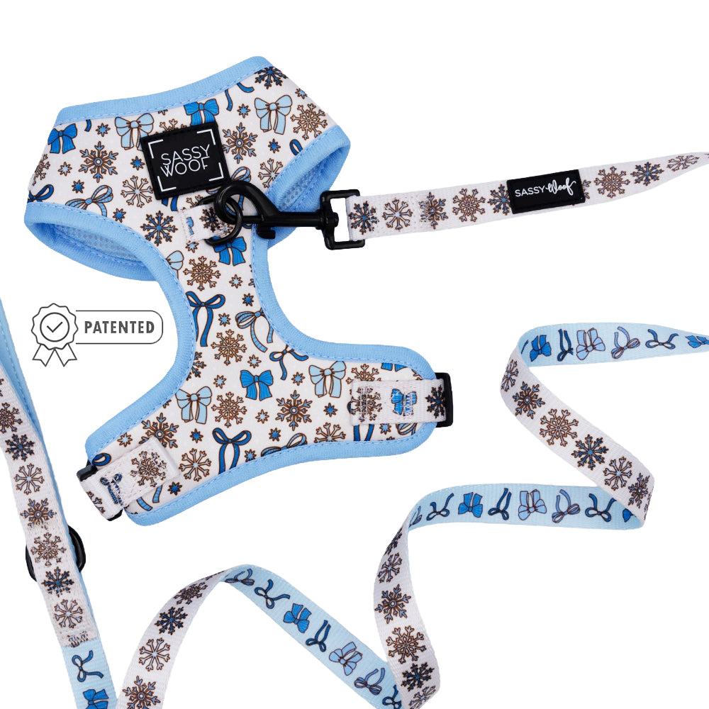 Dog Two Piece Bundle - Let it Bow | Sassy Woof Product