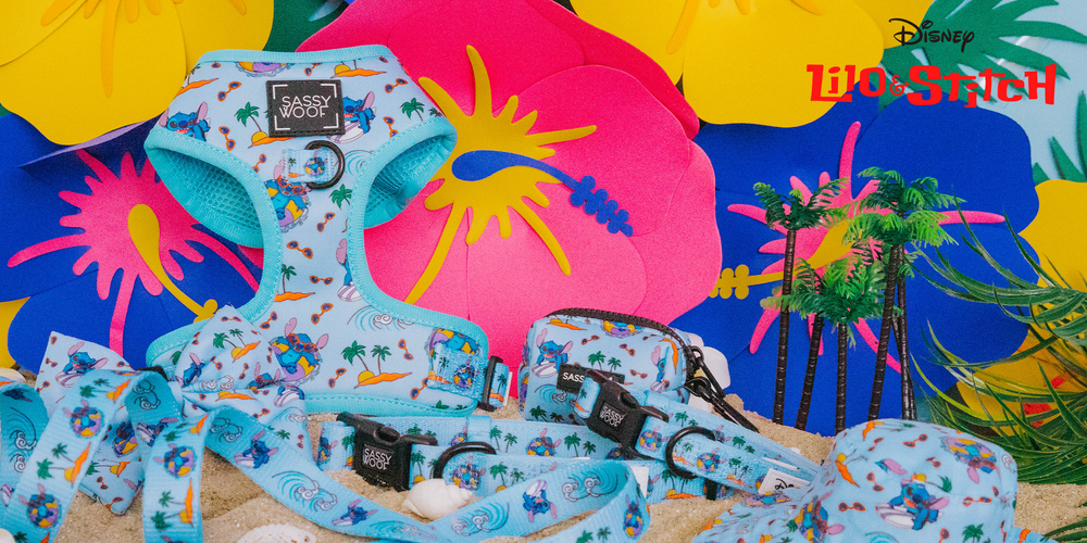 Affordable & Modern Accessories for Dogs | Sassy Woof