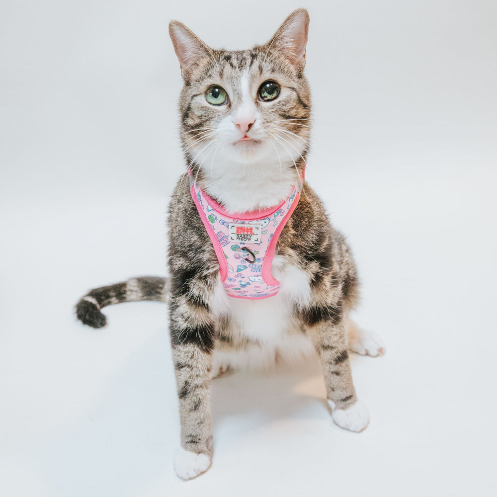 Hello Kitty | Sassy Woof