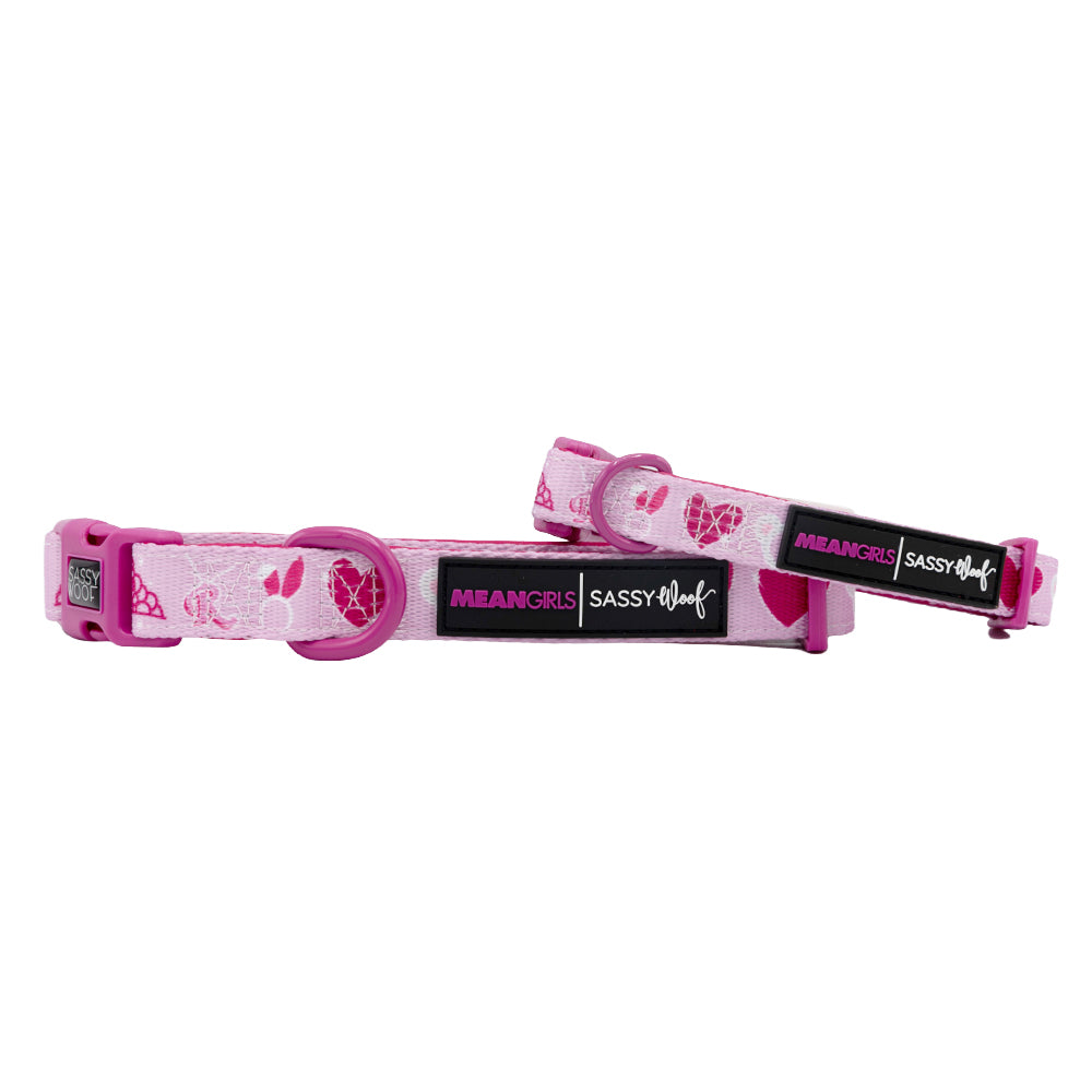 Dog Collar - Mean Girls™ | Sassy Woof Product
