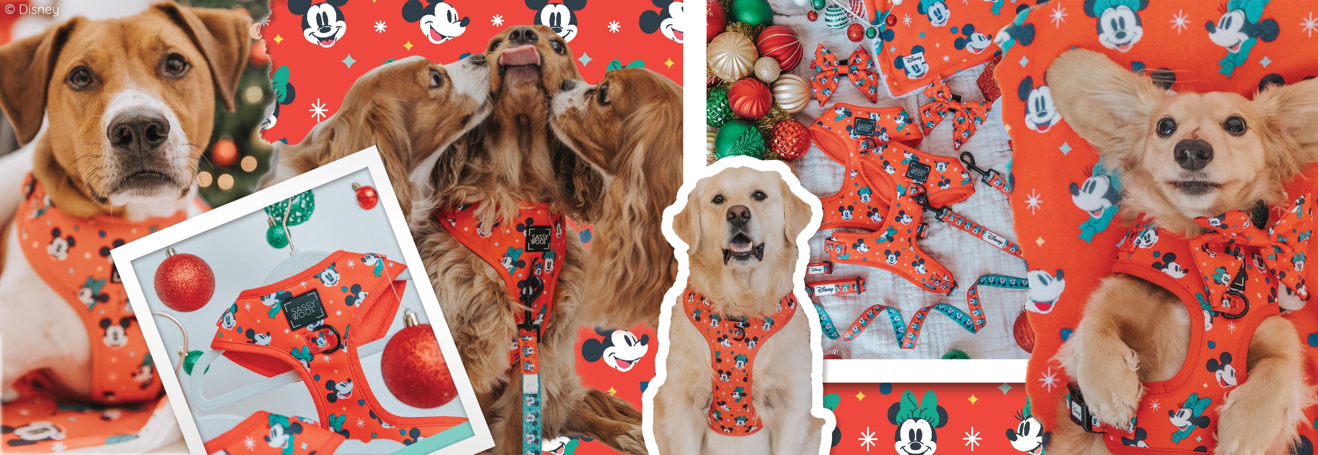 Disney Holiday Collection | Sassy Woof