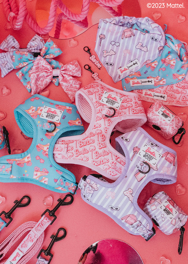 SHOP THE BARBIE™ X SASSY WOOF COLLECTION!