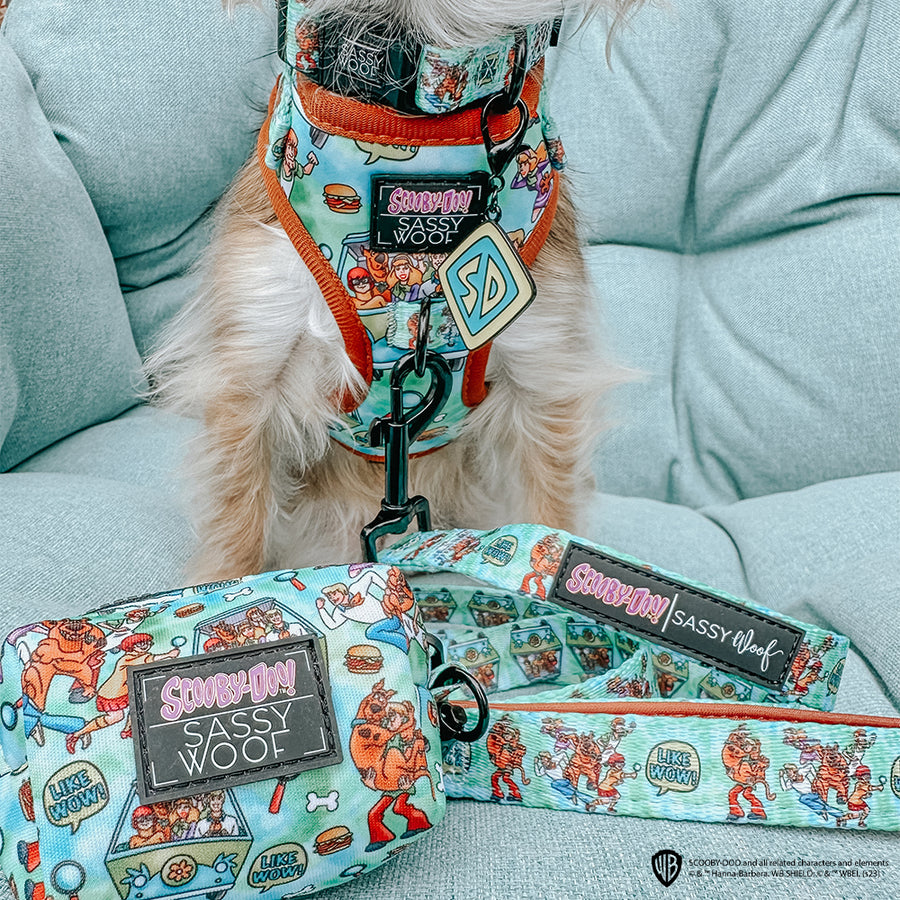 Dog Collar Tag - Scooby-Doo™ | Sassy Woof Product