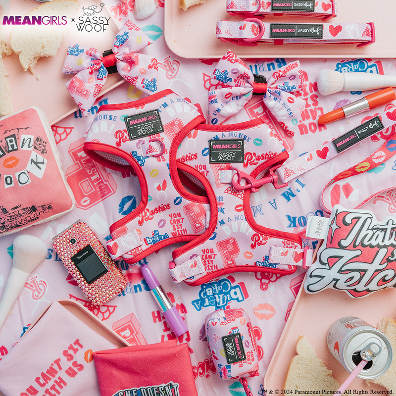 Dog Four Piece Bundle - Mean Girls™ | Sassy Woof Product