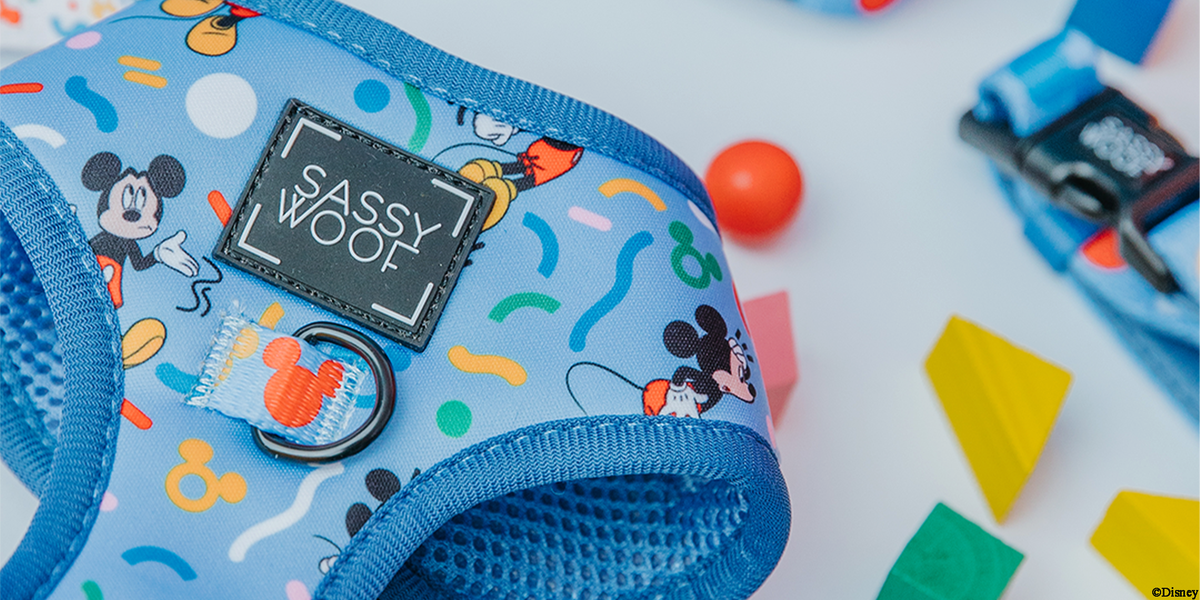 Affordable & Modern Accessories for Dogs | Sassy Woof