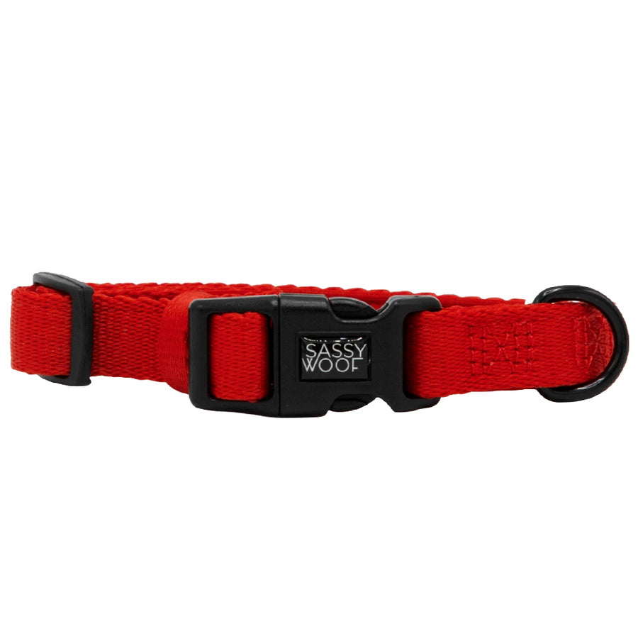Neon Red - Dog Collar | Sassy Woof Product