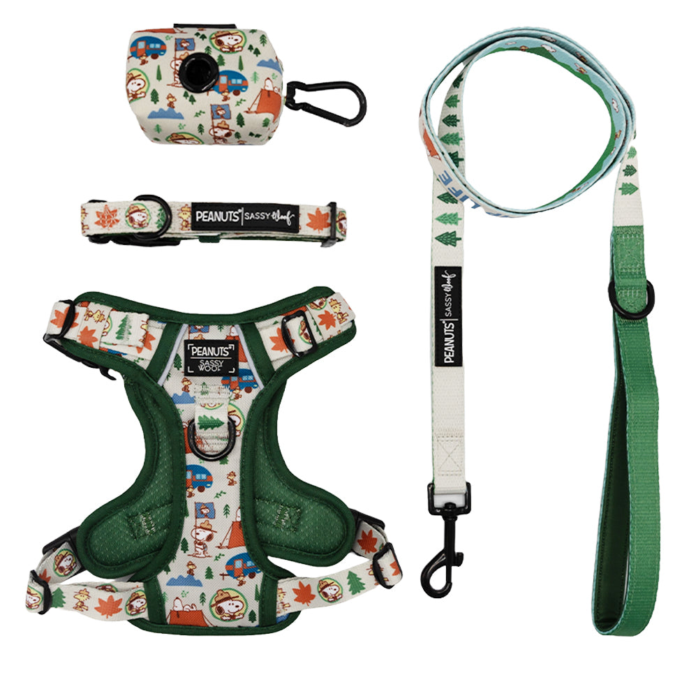 Dog Four Piece Bundle - Peanuts™ Beagle Scouts | Sassy Woof Product