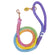 Dog Rope Leash - Polly Pocket™ | Sassy Woof Product