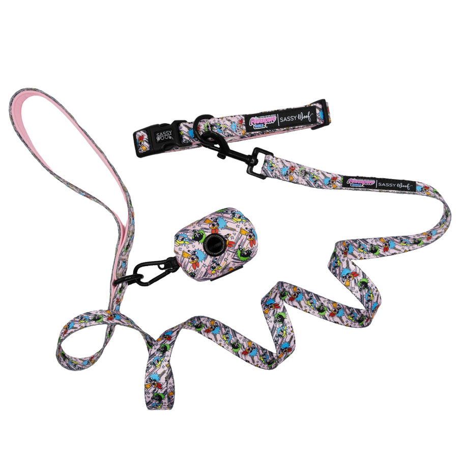 The Powerpuff Girls™ - PINK | Sassy Woof Collection
