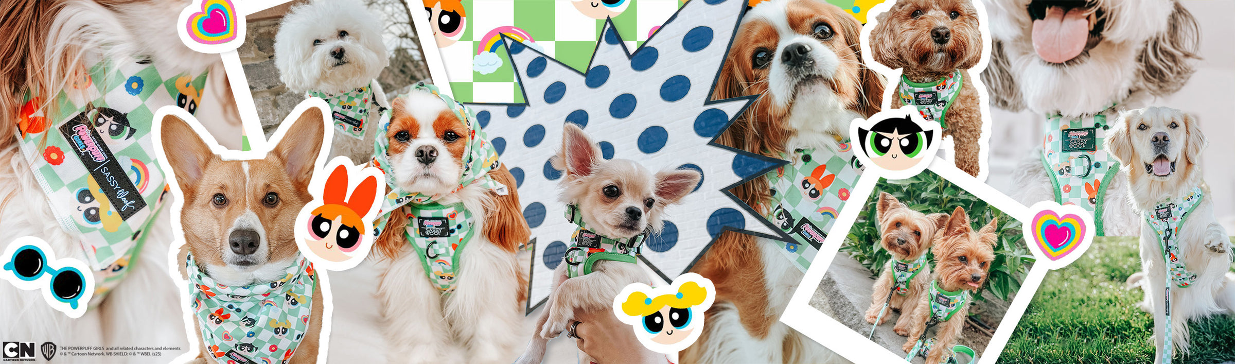 The Powerpuff Girls™ - Green | Sassy Woof