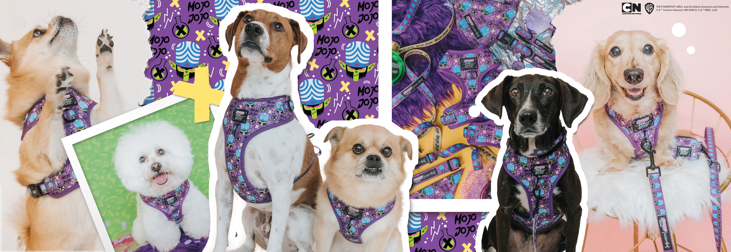 The Powerpuff Girls™ - Mojo Jojo | Sassy Woof