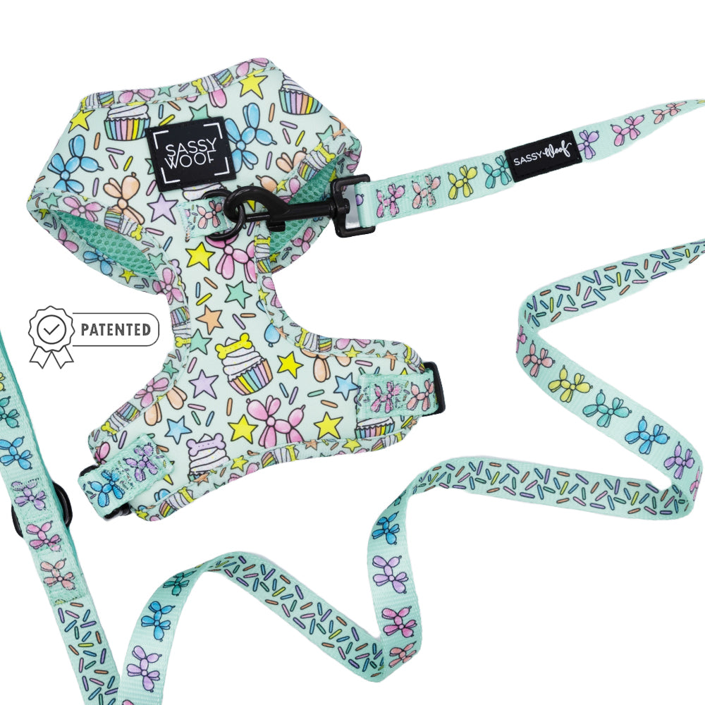 Dog Two Piece Bundle - Pup Pup Hooray | Sassy Woof Product