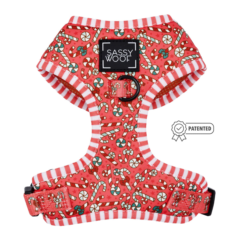 Dog Adjustable Harness - Puppermint Twist | Sassy Woof Product