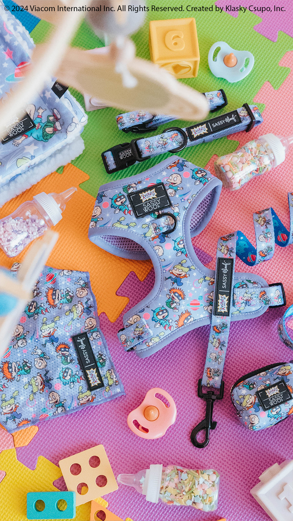 Affordable & Modern Accessories for Dogs | Sassy Woof