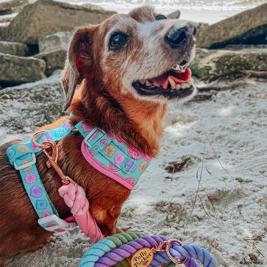 Dog Rope Leash - Polly Pocket™ | Sassy Woof Product