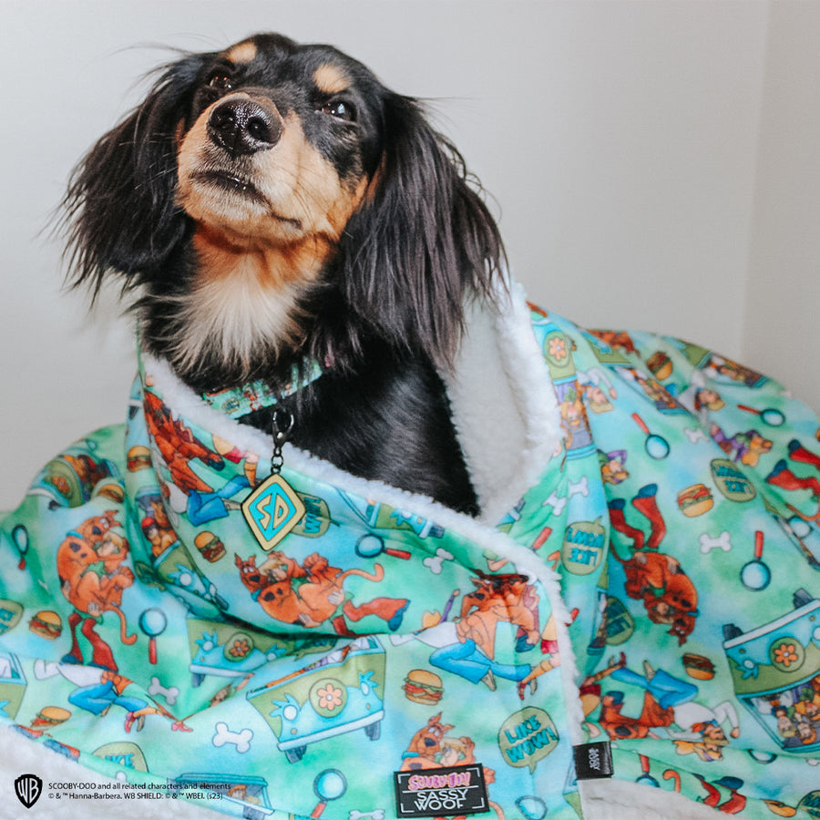 Dog Collar Tag - Scooby-Doo™ | Sassy Woof Product