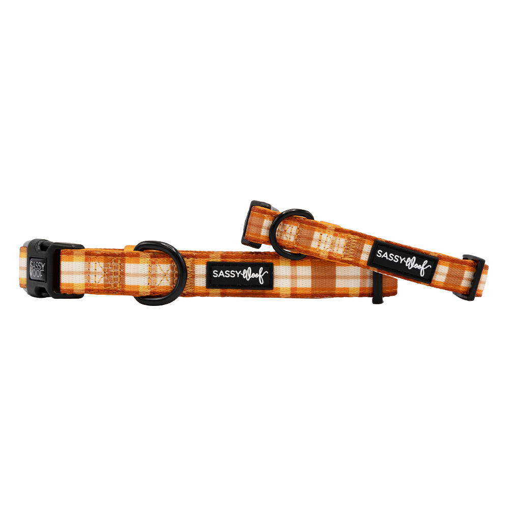Dog Collar - Spiced Harvest | Sassy Woof Product