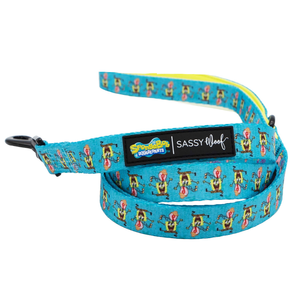 SpongeBob SquarePants™ Jelly Fishin' - Dog Leash | Sassy Woof Product