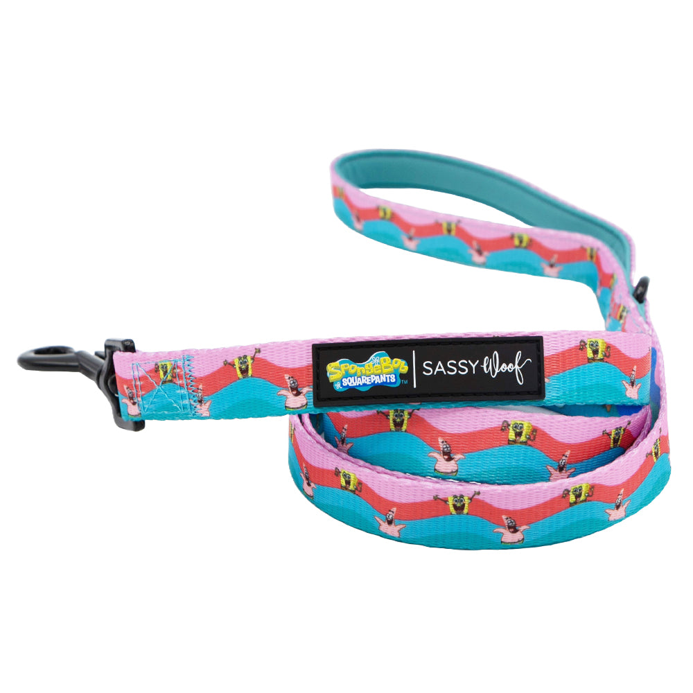 SpongeBob SquarePants™ SpongeBob & Friends Dog Leash | Sassy Woof Product