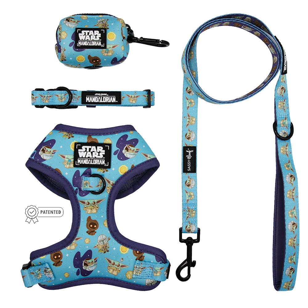 STAR WARS™ The Mandalorian™ - Dog Bundle | Sassy Woof Product