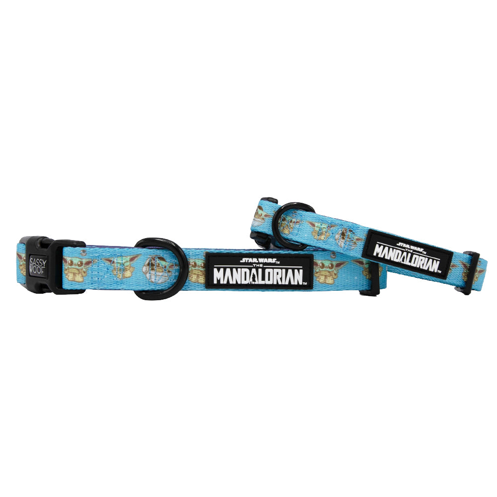 STAR WARS™ The Mandalorian™ - Dog Collar | Sassy Woof Product