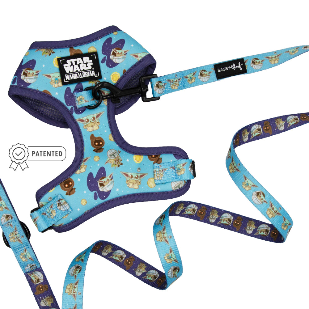 STAR WARS™ The Mandalorian™ - Dog Two Piece Bundle | Sassy Woof Product