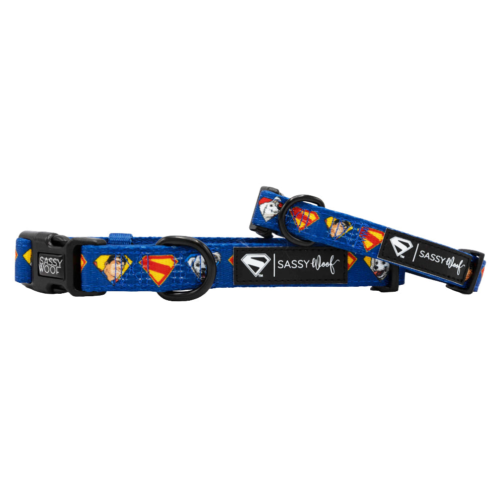 Dog Collar - Superman™ & Krypto™ | Sassy Woof Product