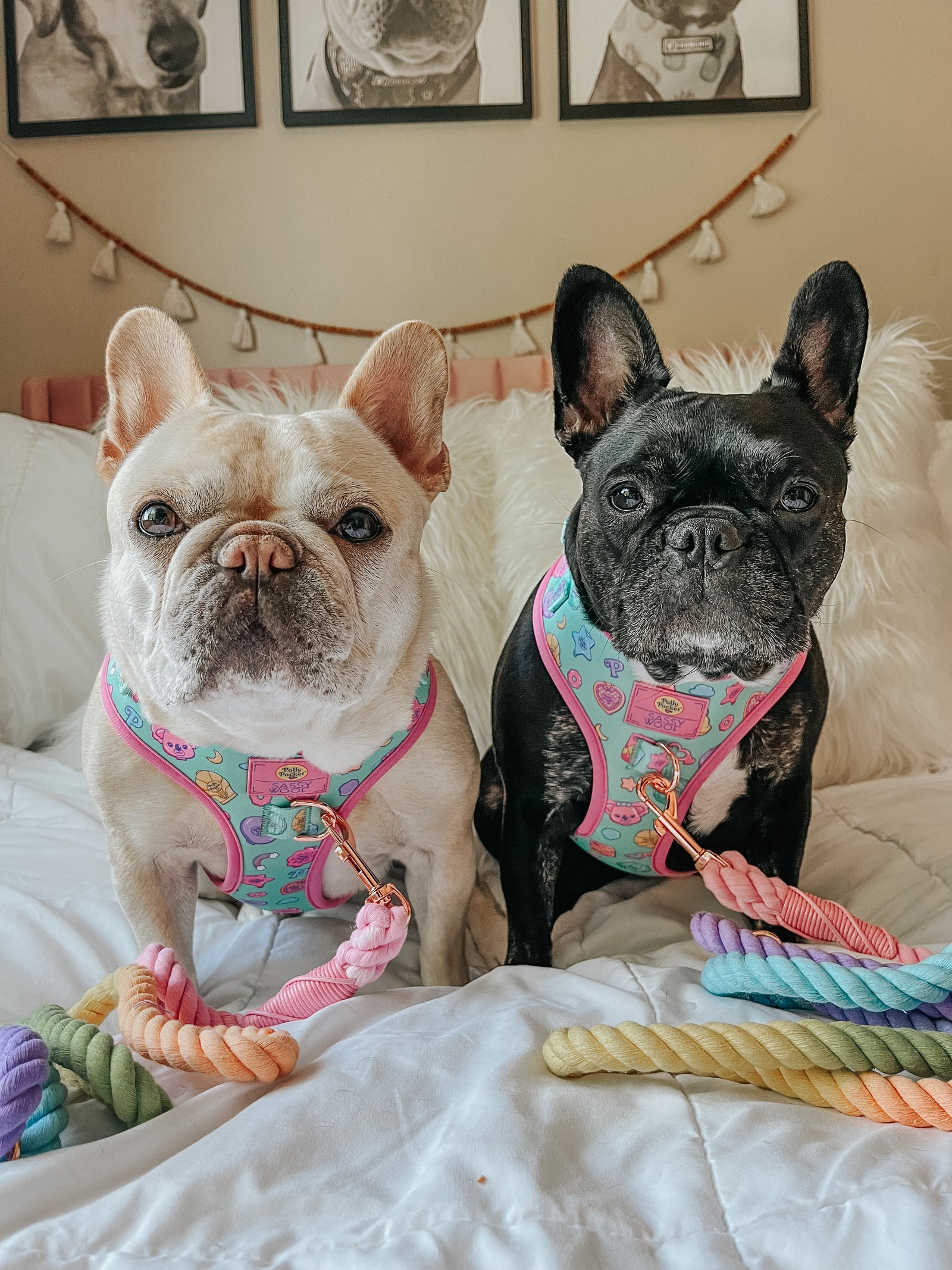 Dog Rope Leash - Polly Pocket™ | Sassy Woof Product