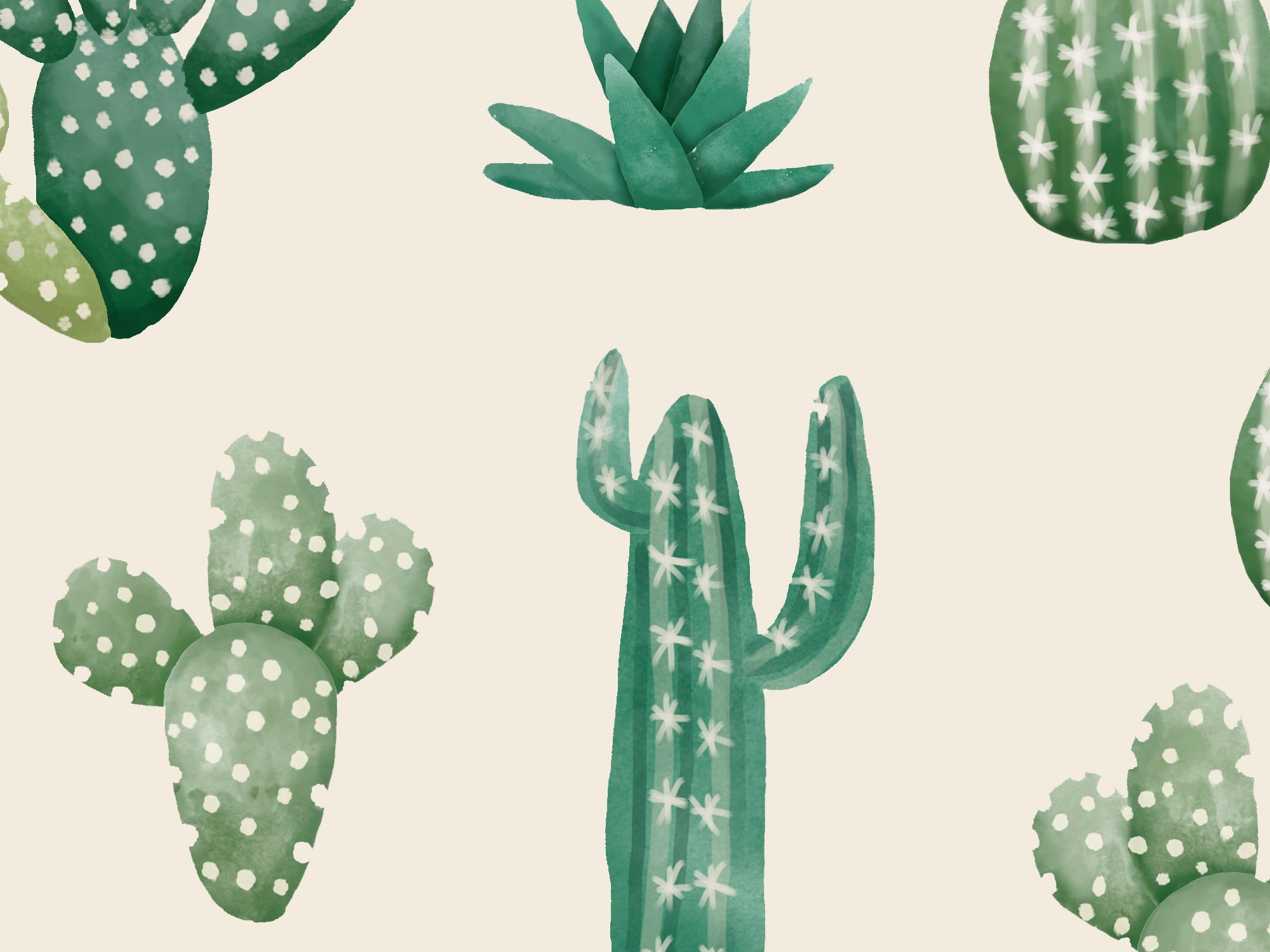 DC™ X Sassy Woof | Sassy Woof Collection