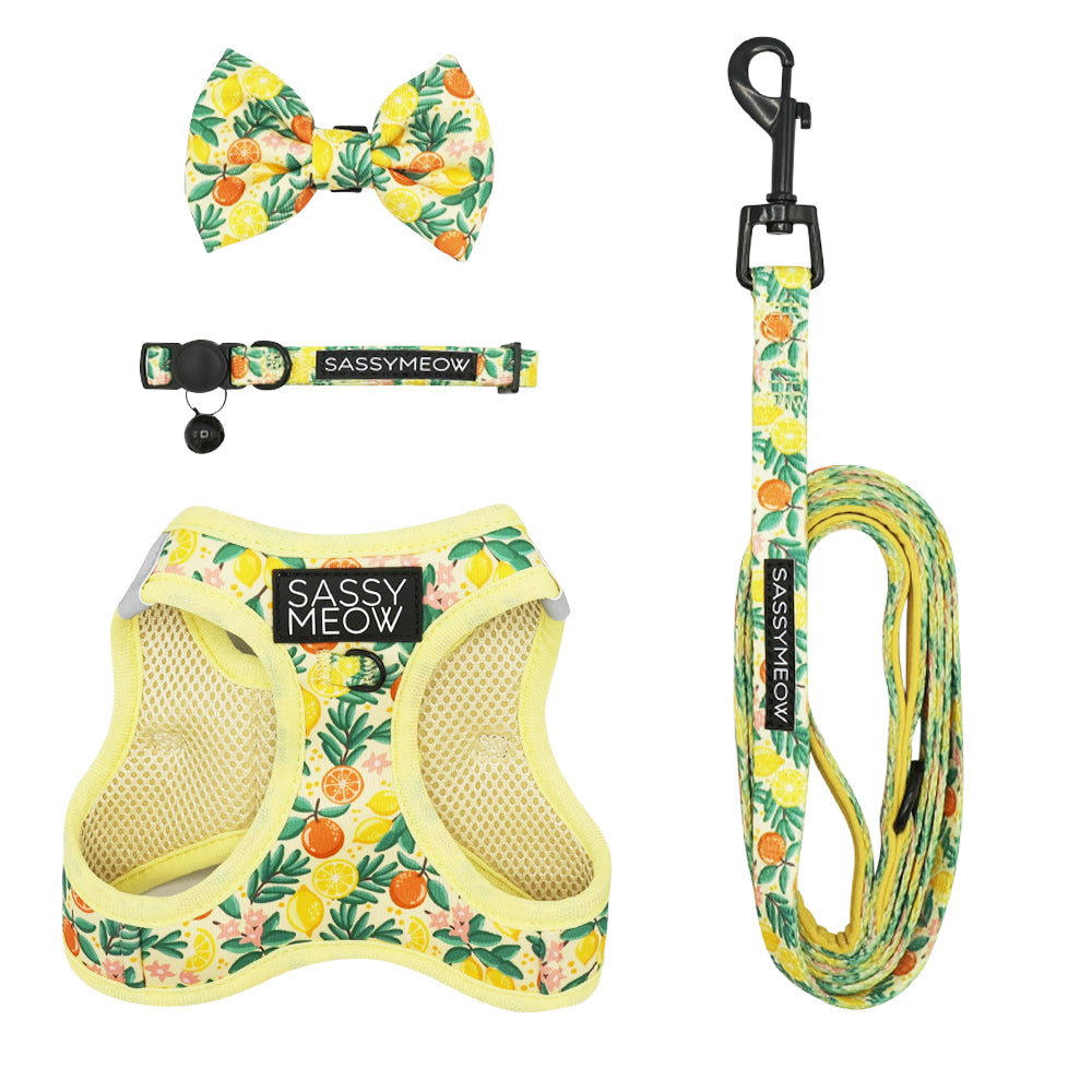 Cat Bundle - Zest Friends | Sassy Woof Product