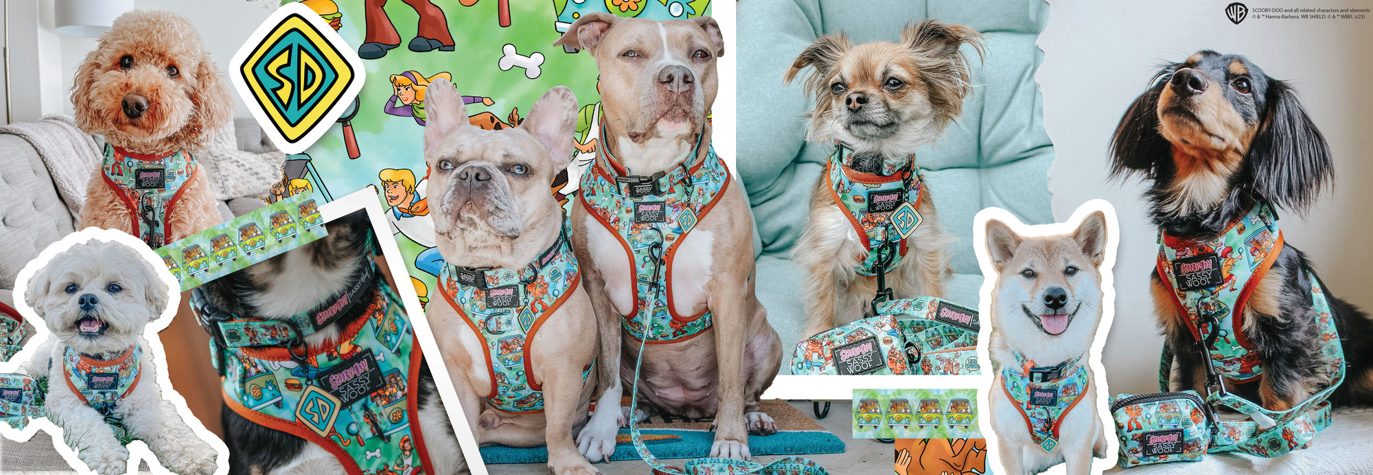 Scooby-Doo™ X Sassy Woof | Sassy Woof