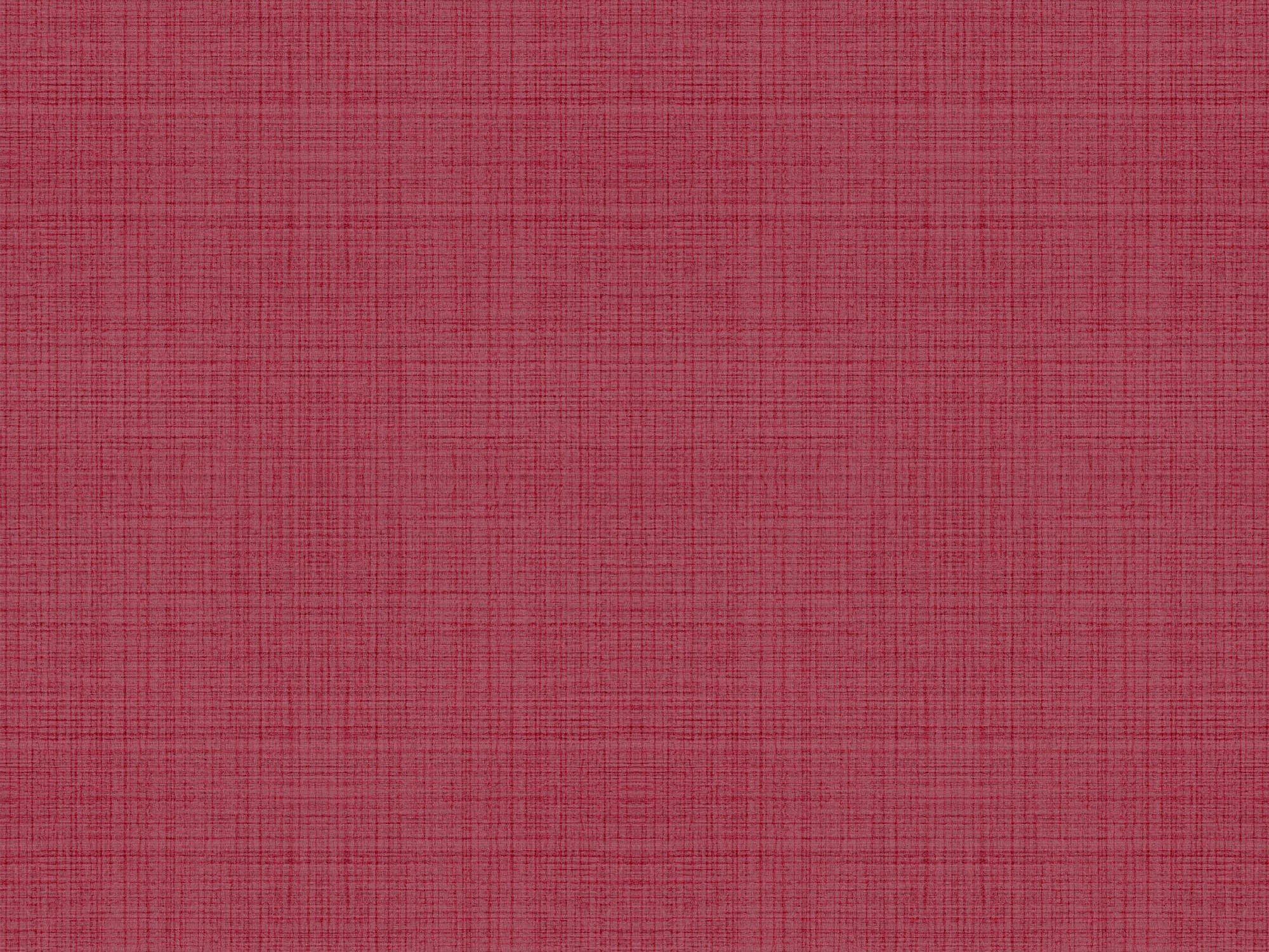 Cozy Collection | Sassy Woof Collection