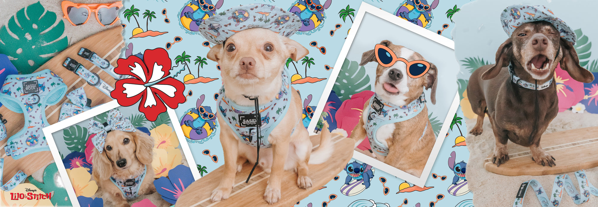 Stitch | Sassy Woof