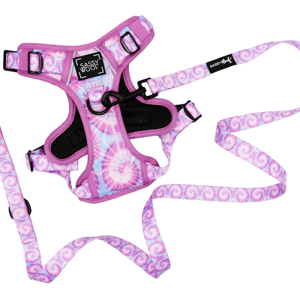 Dog Two Piece Bundle - Purple Haze | Sassy Woof Product