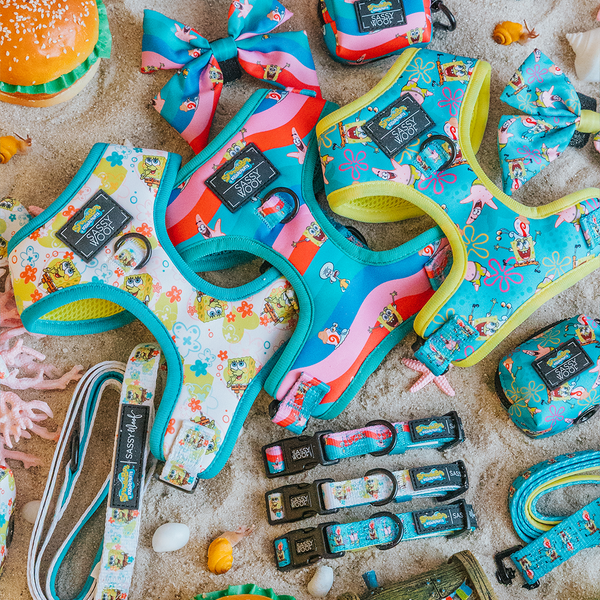 Raise the Woof | Sassy Woof Collection