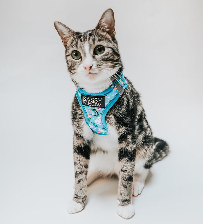 Cat Step-In Harness - Purrs & Petals | Sassy Woof Product