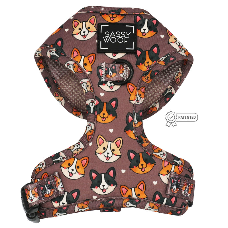 Dog Adjustable Harness - Cuddly Corgis | Sassy Woof Product