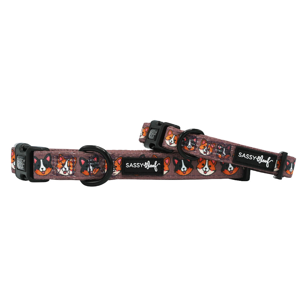 Dog Collar - Cuddly Corgis | Sassy Woof Product