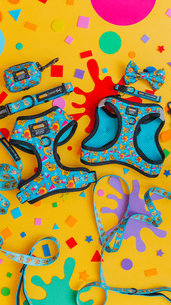 Affordable & Modern Accessories for Dogs | Sassy Woof