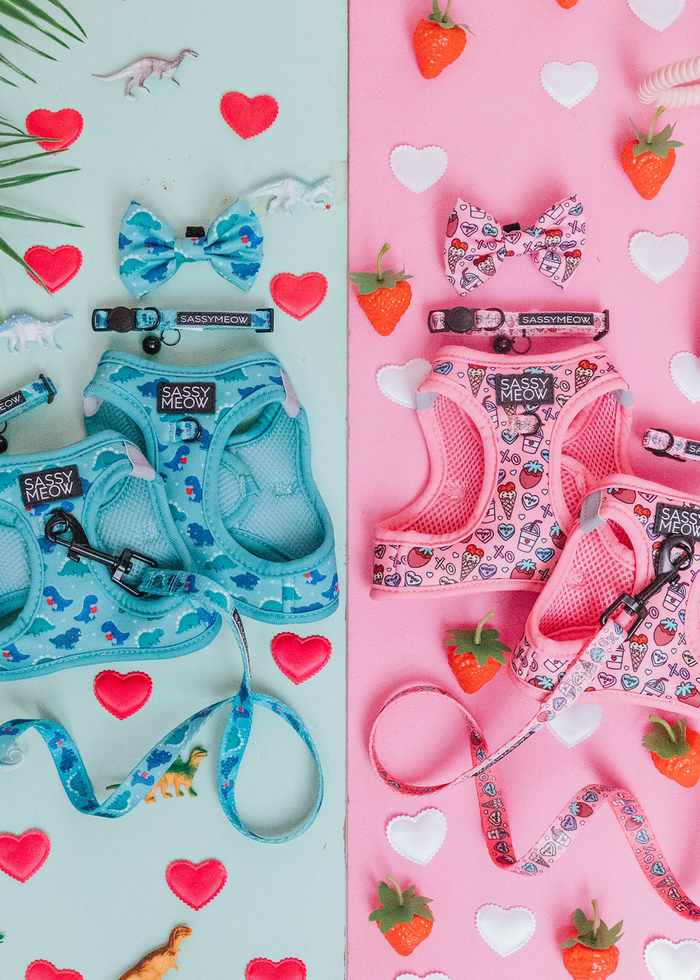 Affordable & Modern Accessories for Dogs | Sassy Woof