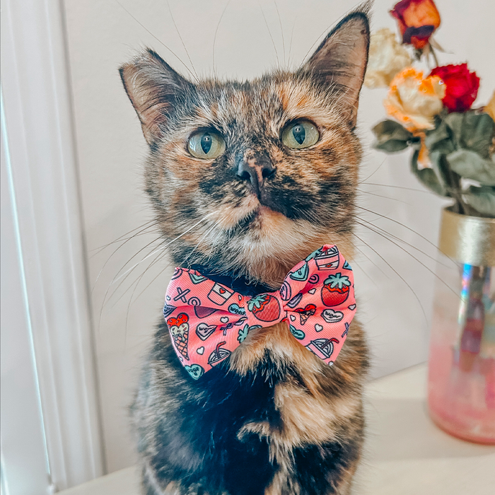 Affordable & Modern Accessories for Dogs | Sassy Woof