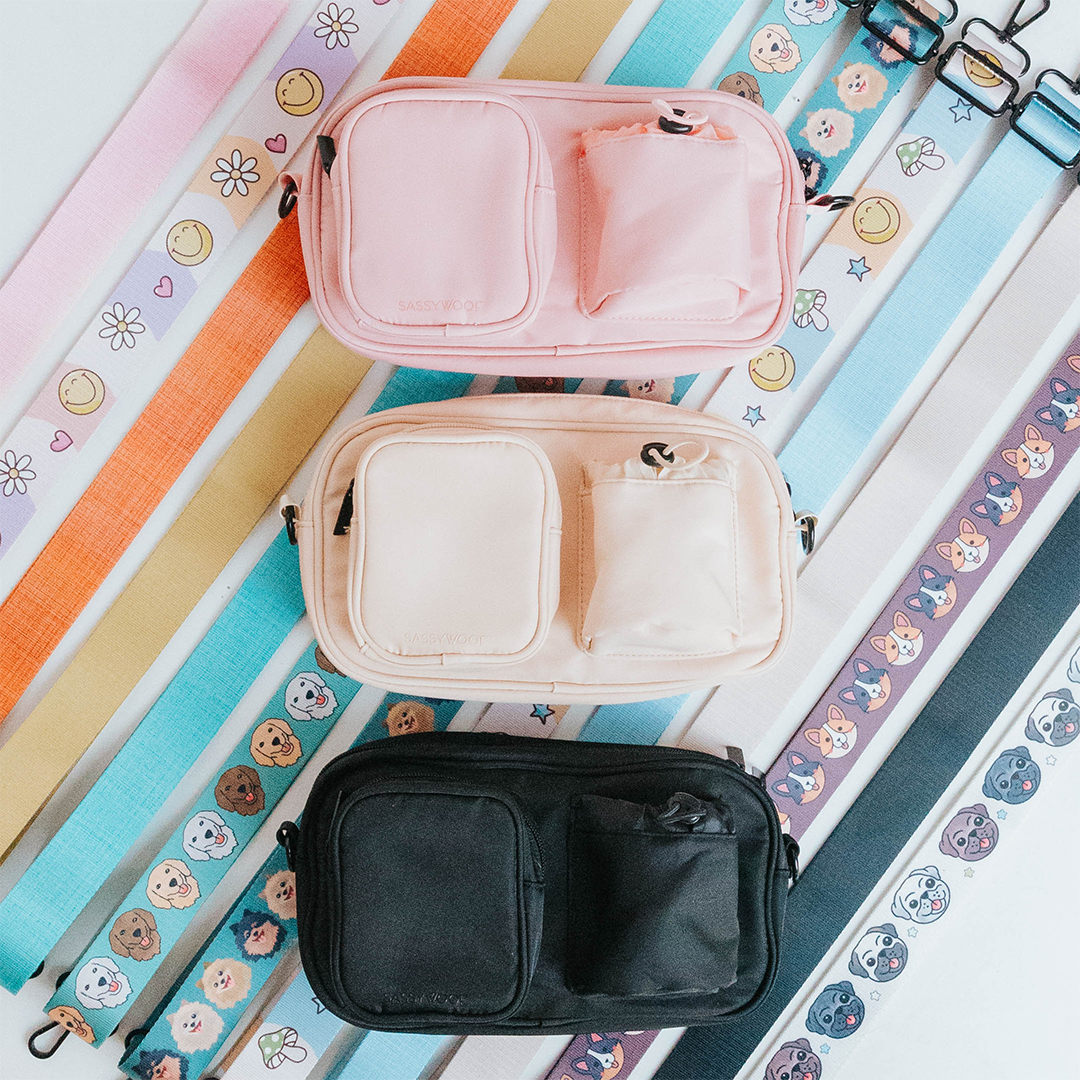 Affordable & Modern Accessories for Dogs | Sassy Woof