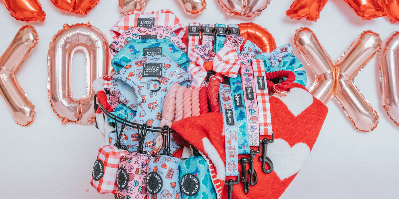 Affordable & Modern Accessories for Dogs | Sassy Woof