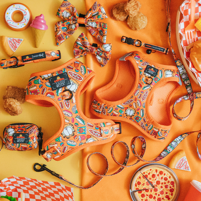 VIP | Sassy Woof Collection